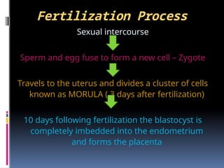 Fertilization Process,Sexual Intercourse.pptx