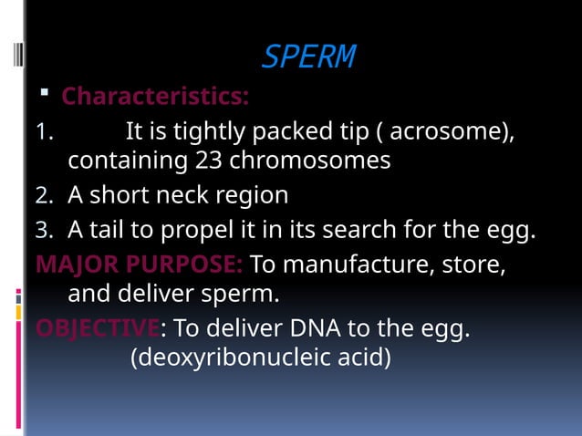 Fertilization Process,Sexual Intercourse.pptx