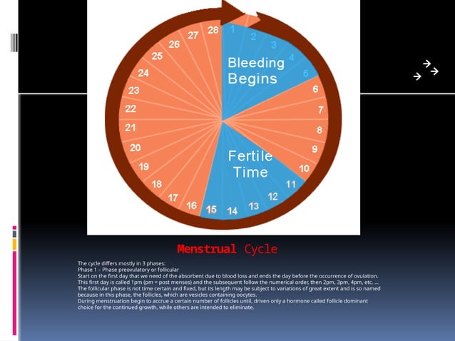 Fertilization Process,Sexual Intercourse.pptx