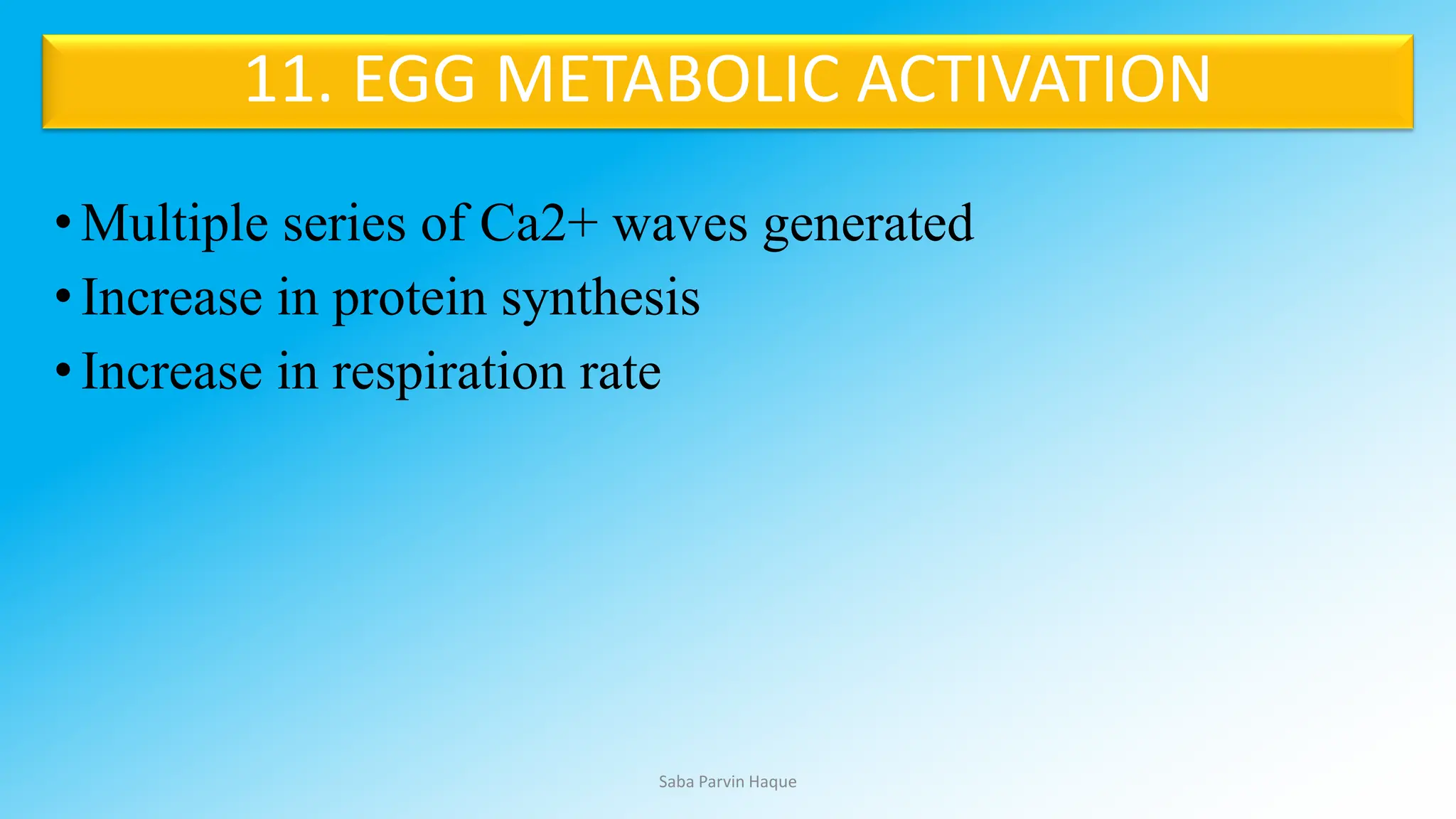 Fertilization Process in Human (Internal Fertilization) | PPT
