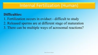 Fertilization Process in Human (Internal Fertilization) | PPT