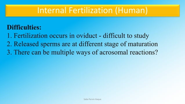 Fertilization Process in Human (Internal Fertilization) | PPT