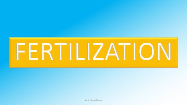 Fertilization Process in Human (Internal Fertilization) | PPT