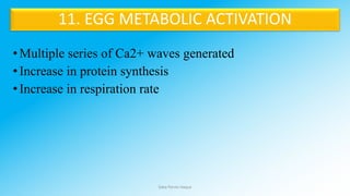Fertilization Process in Human (Internal Fertilization) | PDF