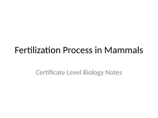 Fertilization_Process_in_Mammals.power point | PPTX