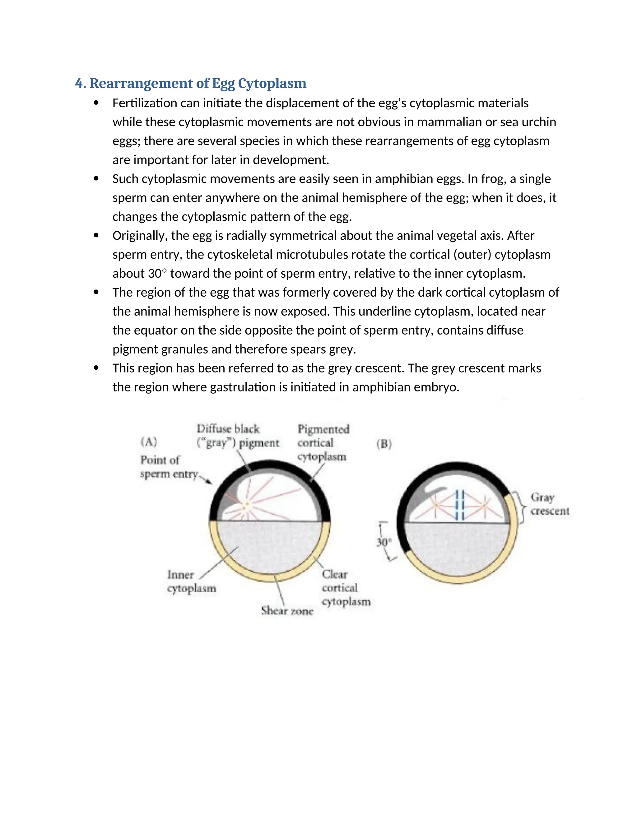 Fertilization, recognition of sperm and egg, activation of egg ...
