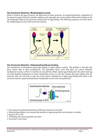 Sensory Transduction