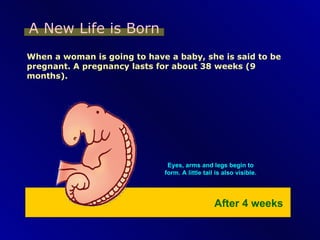 Powerpoint slides on Fertilization | PPT