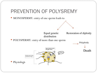 Fertilization fro the graduation Students | PPT