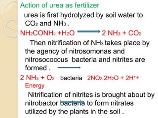 Fertilizer | PPT