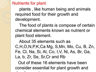 Fertilizer | PPTX