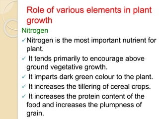 Fertilizer | PPTX