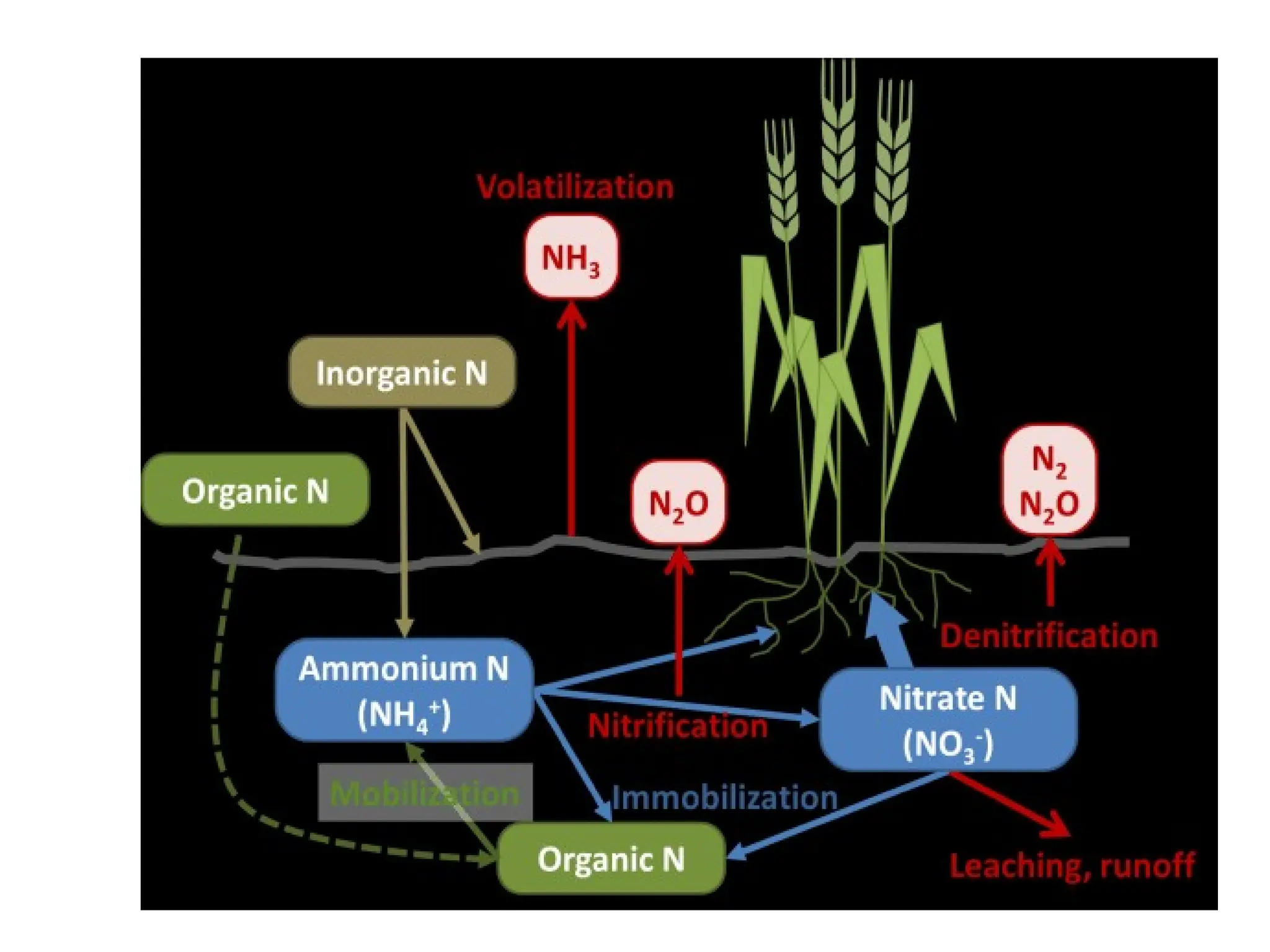 Various methods of fertilizer application.pptx