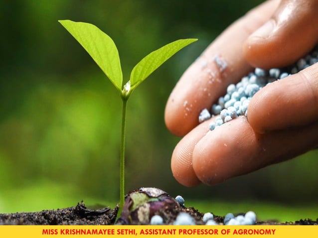 Fertilizer and its classification | PDF