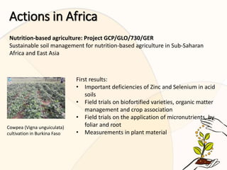 Towards the implementation of the Fertilizer Code at the global level | PPT