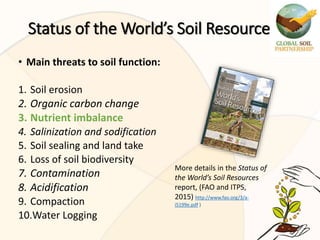 Towards the implementation of the Fertilizer Code at the global level | PPT