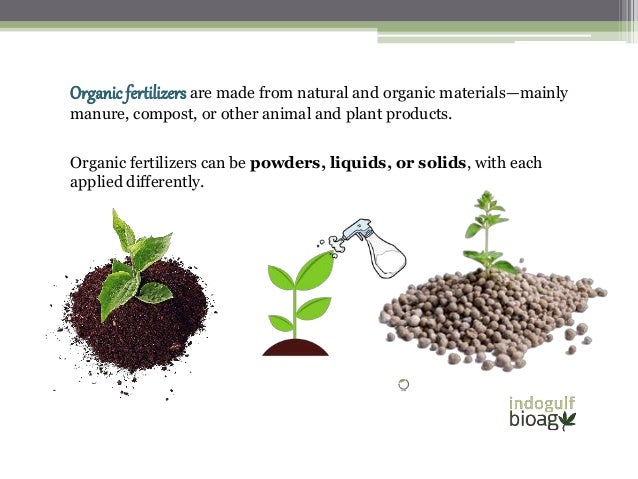 Fertilizer Basics: Organic Fertilizer, NPK Ratio | Indogulf | PPTX