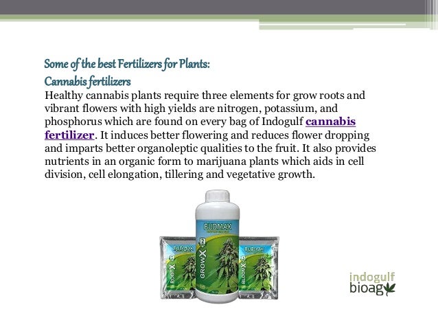 Fertilizer Basics: Organic Fertilizer, NPK Ratio | Indogulf | PPTX