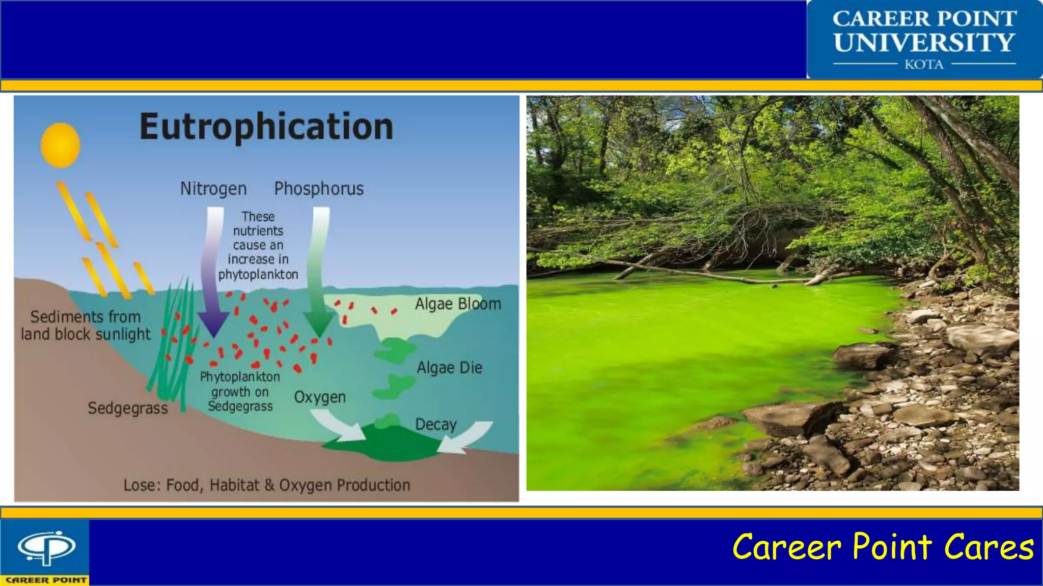 Fertilizer effect on soil | PPTX