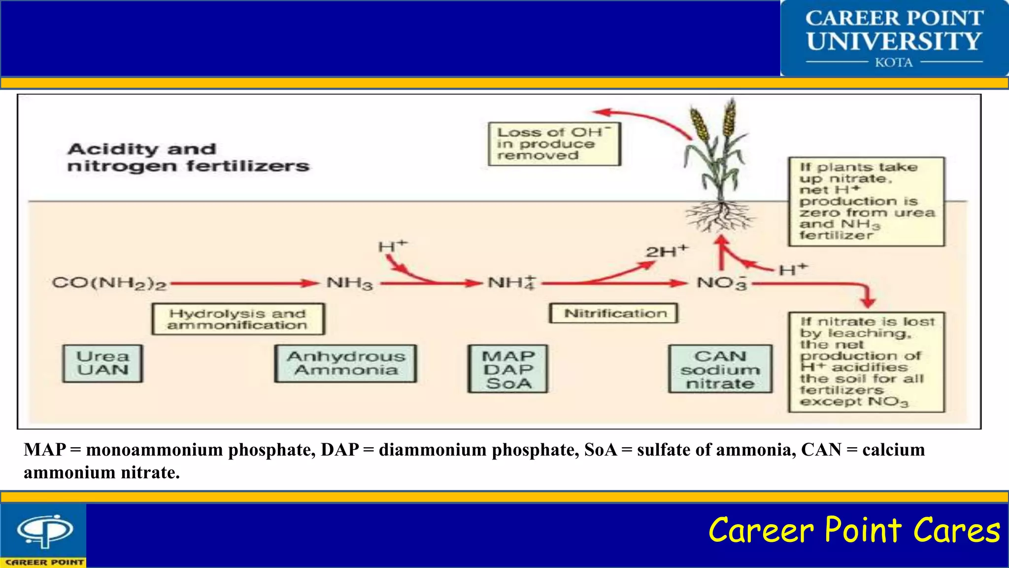 Fertilizer effect on soil | PPTX
