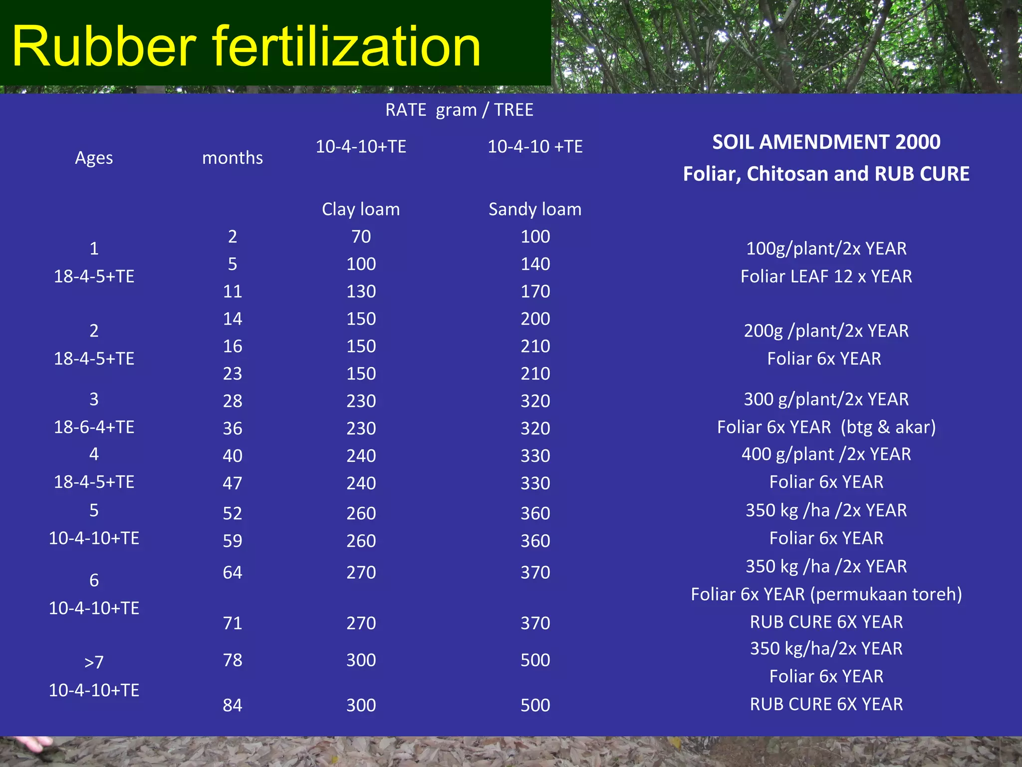 Fertilizer for rubber trees | PPT