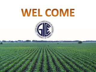 Fertilizer industry | PPTX