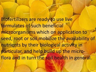 Fertilizer Ppt By Saheed Vk Ppt