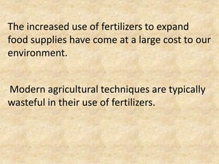 Fertilizer Ppt By Saheed Vk Ppt