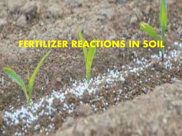 Fertilizer reaction in soil (1) | PPTX | Science