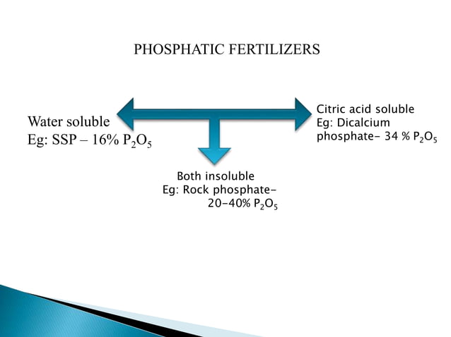 Fertilizer reaction in soil (1) | PPTX | Science