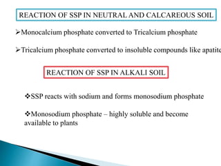 Fertilizer reaction in soil (1) | PPTX