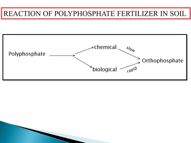 Fertilizer reaction in soil (1) | PPTX | Science