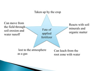 Fertilizer reaction in soil (1) | PPTX