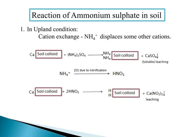 Fertilizer reaction in soil (1) | PPTX | Science
