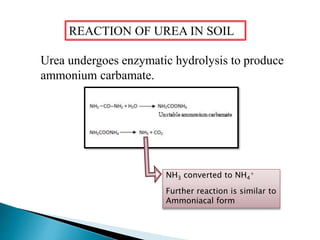 Fertilizer reaction in soil (1) | PPTX