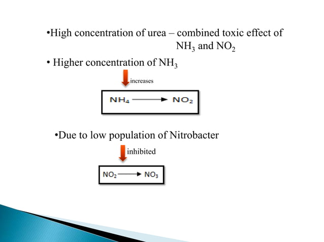 Fertilizer reaction in soil (1) | PPTX | Science