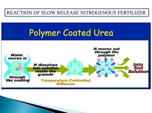 Fertilizer reaction in soil (1) | PPTX | Science