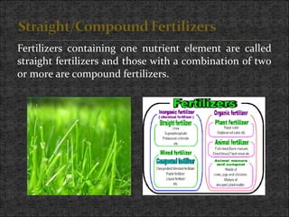 Fertilizers | PPT