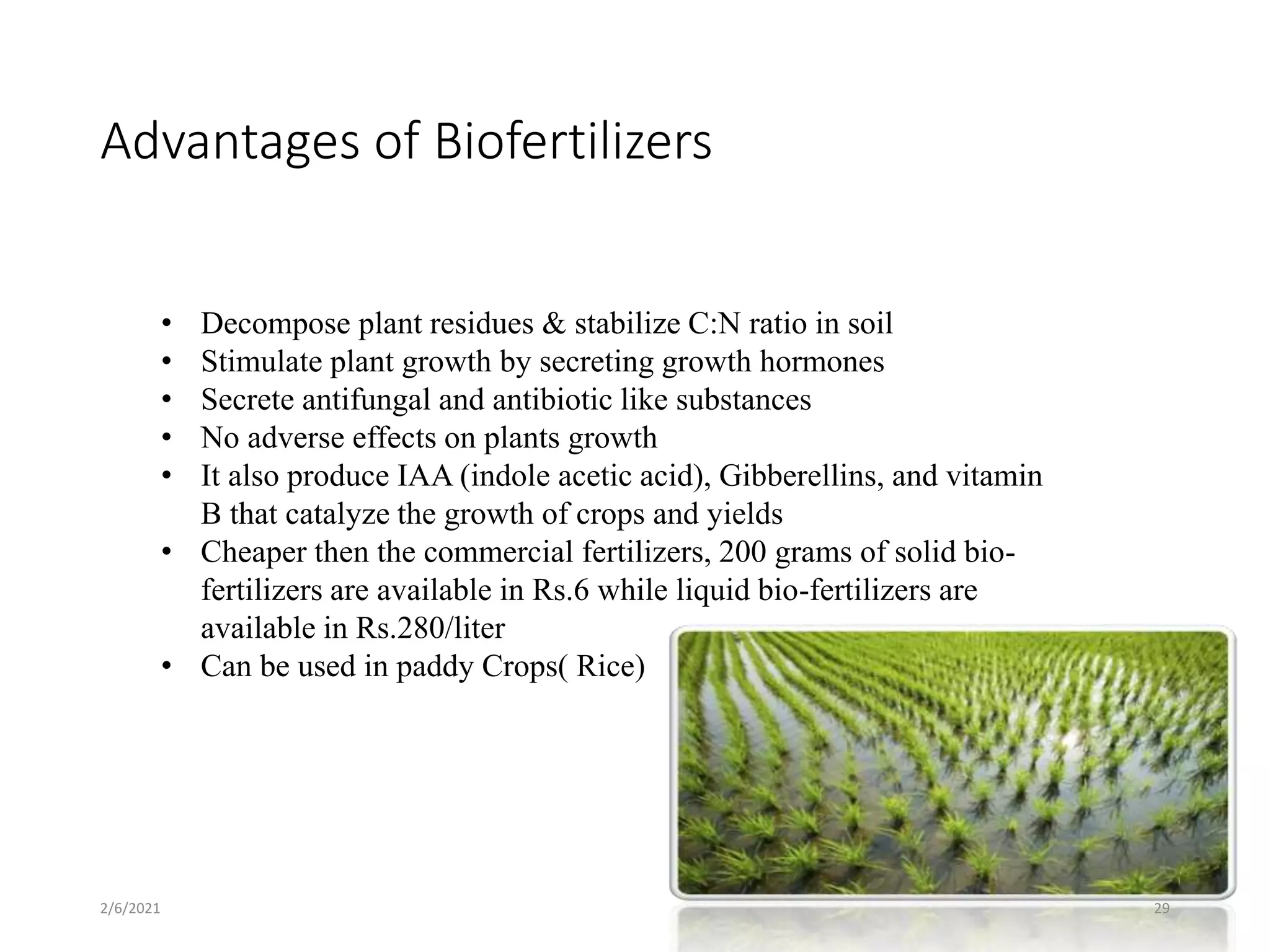 Role of Biofertilizers and chemical fertilizers in agriculture | PPTX