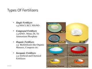 Role of Biofertilizers and chemical fertilizers in agriculture | PPT