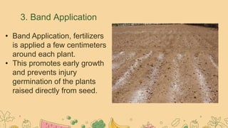 Fertilizers | PDF