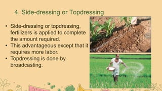 Fertilizers | PDF