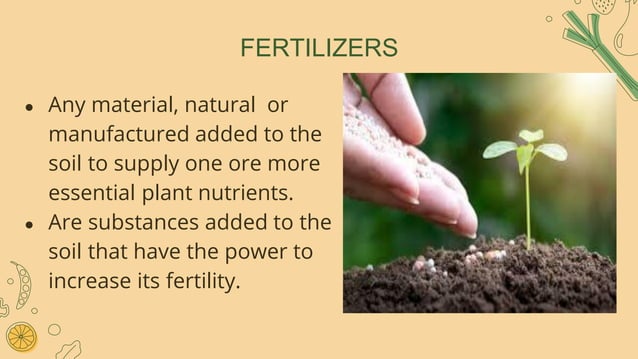 Fertilizers | PPT