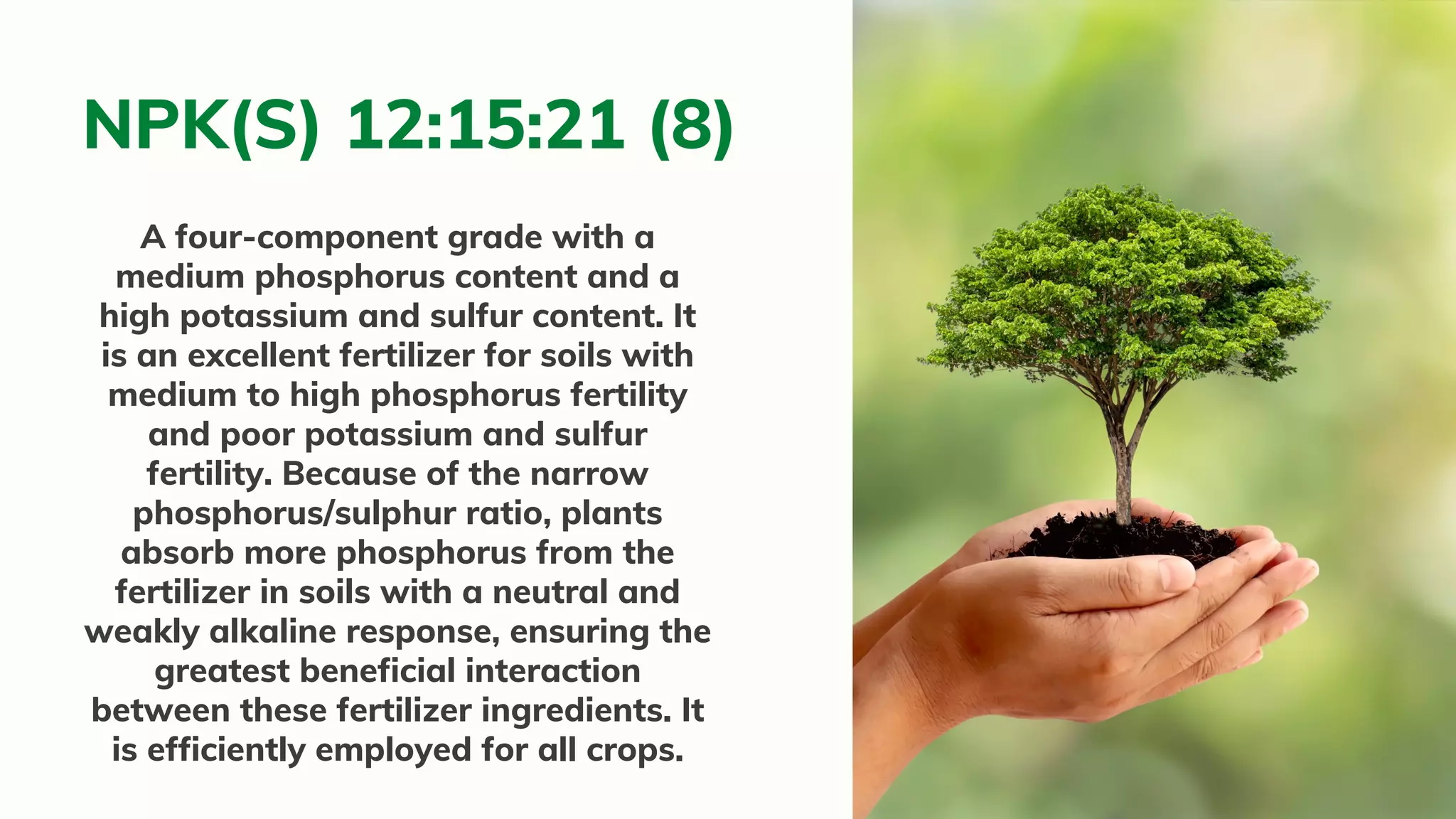 MAP (monoammonium phosphate) NP 12:52 | PDF