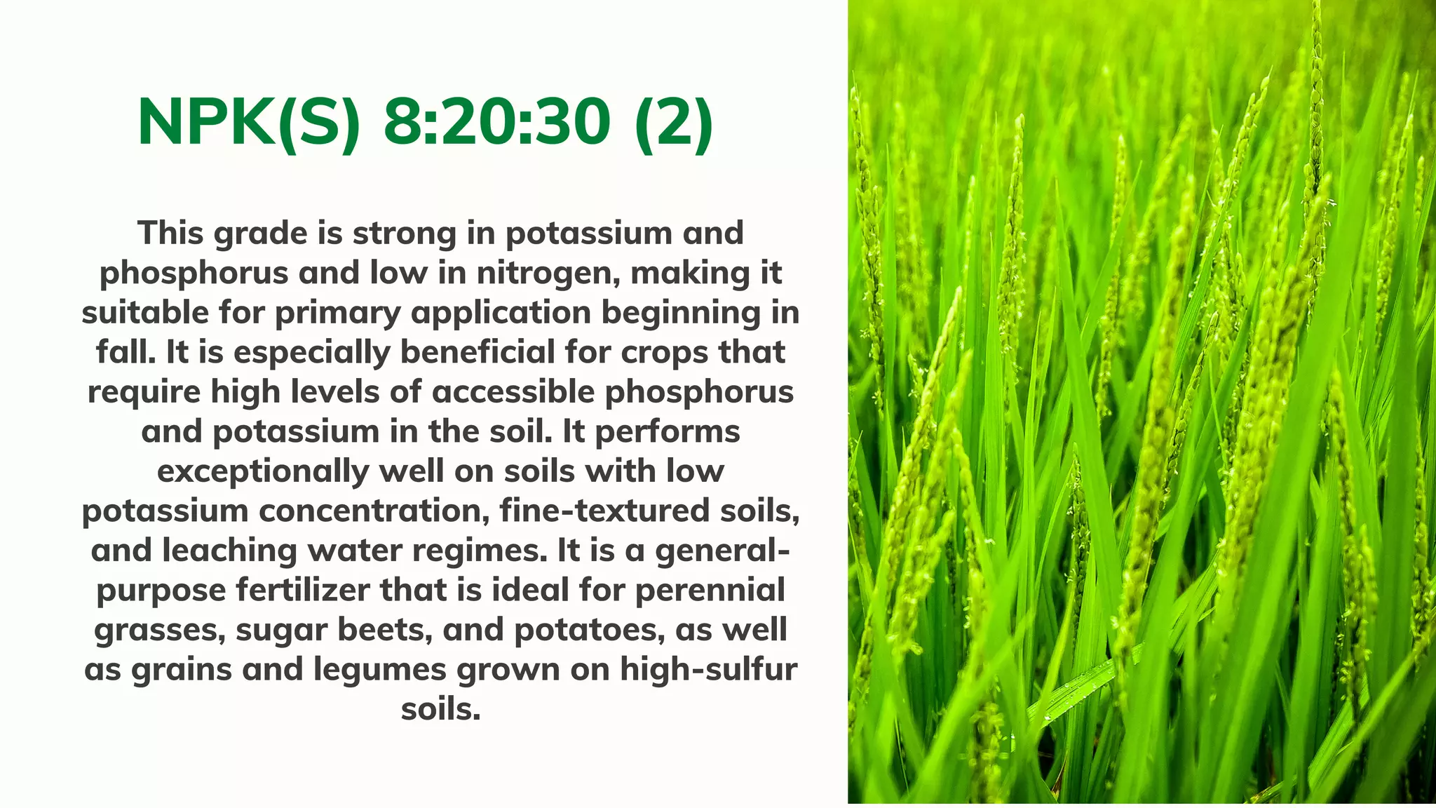 MAP (monoammonium phosphate) NP 12:52 | PDF