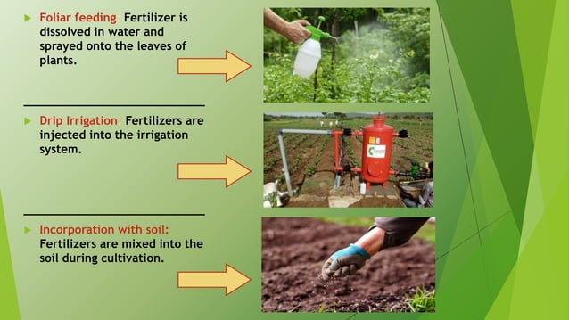 fertilizers and different aspects of it | PPT