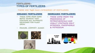 Fertilizers and pesticides | PPTX
