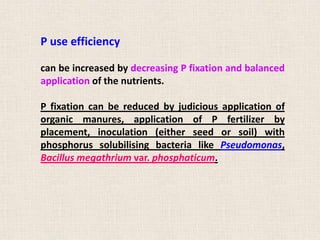 Fertilizer Use Efficiency.pdf soil science | PDF
