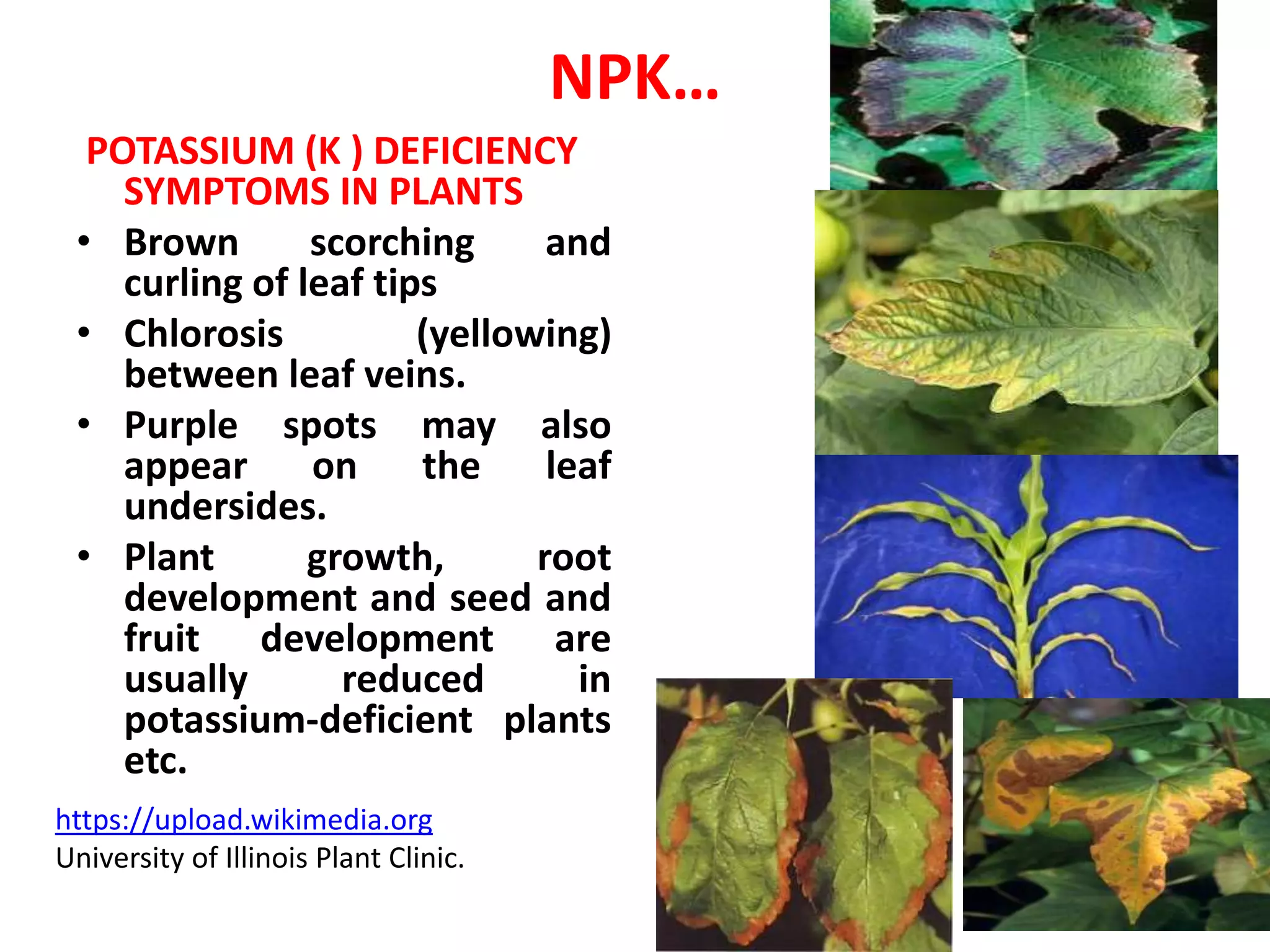 FERTILIZERS,FERTILIZER MIXTURES AND NPK CONTENT SMG | PPTX