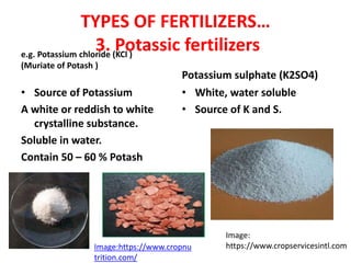 FERTILIZERS,FERTILIZER MIXTURES AND NPK CONTENT SMG | PPTX